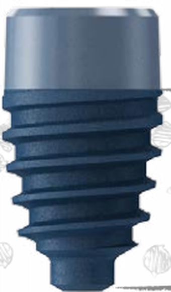 Megagen Rescue Internal Dental Implant | SpotImplant