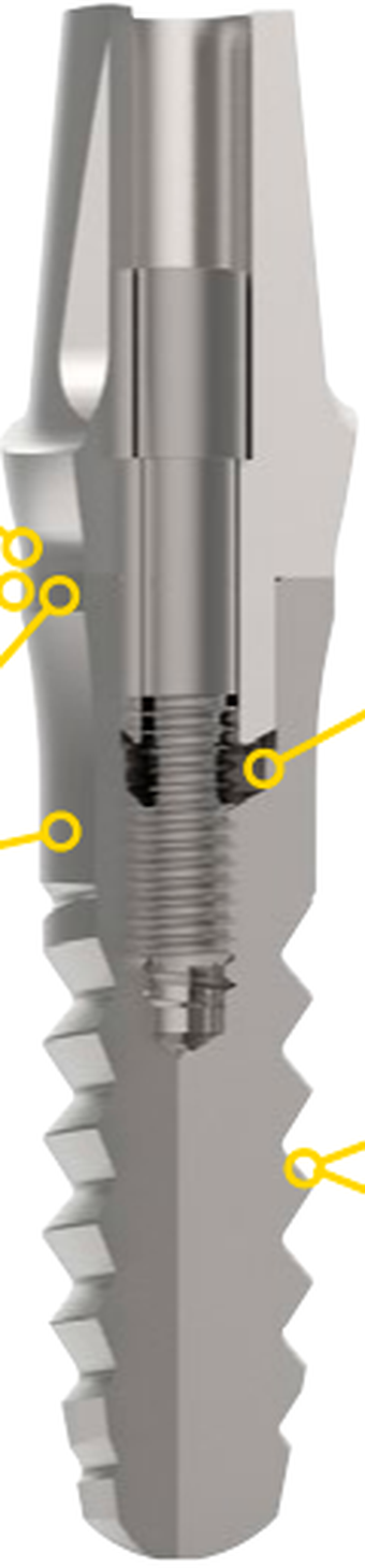 Schütz Dental Impla Cylindrical Hex Dental Implant | SpotImplant