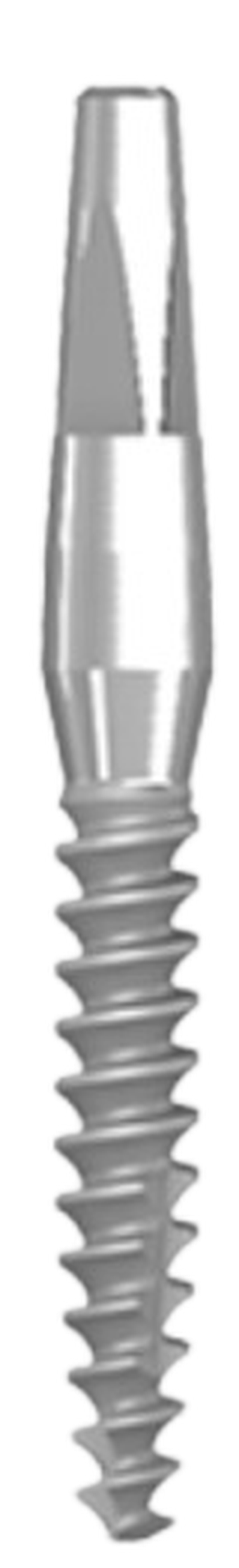 Neobiotech IS II Active Dental Implant | SpotImplant