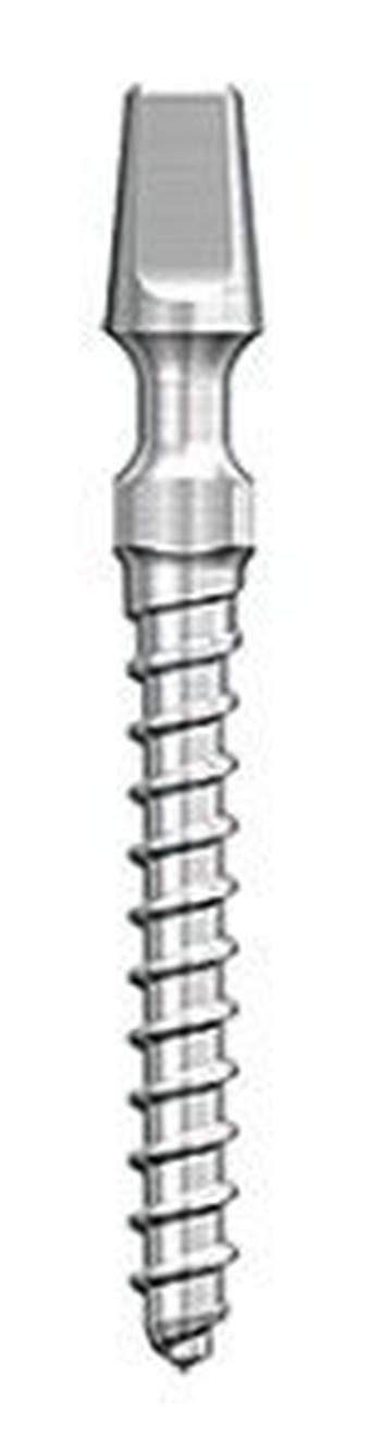 Osstem Implant Company TS III Dental Implant | SpotImplant