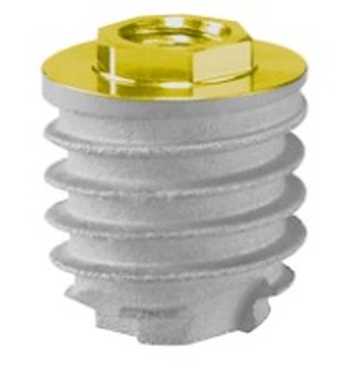 Zimmer-Biomet Tapered Certain T3 (Non-Platform Switched) Dental Implant ...