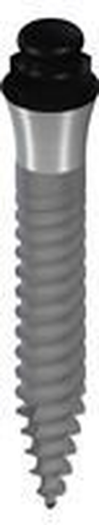 Straumann Bone Level Dental Implant | SpotImplant