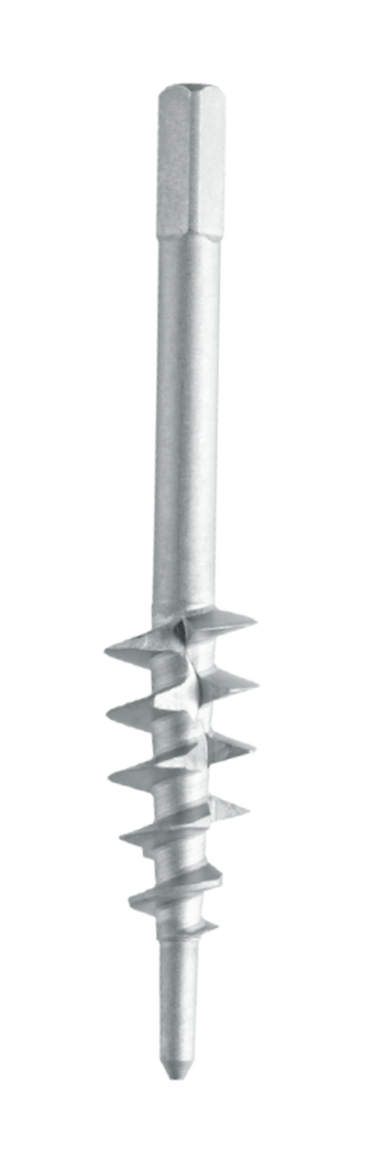 Garbaccio / Bicortical Screw Implantes dentales | SpotImplant