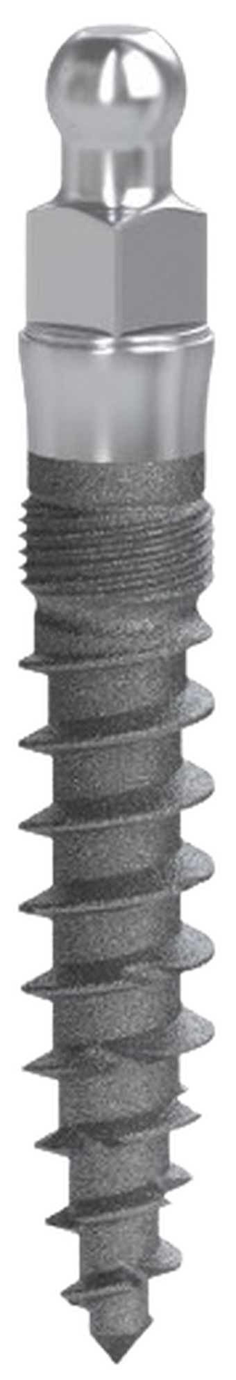 Intra-Lock System International Dental Implants | SpotImplant