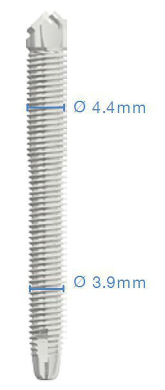 Neodent Dental Implants | SpotImplant