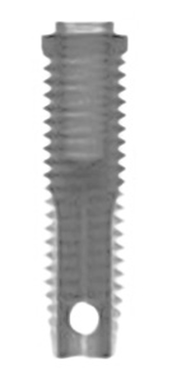 Sterngold ERA 3.25 0 degree Dental Implant | SpotImplant