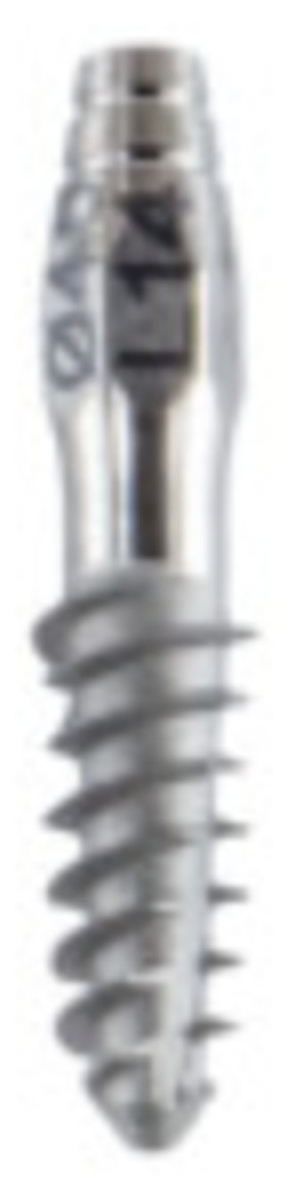Dental Implants With a Conical Apex | SpotImplant