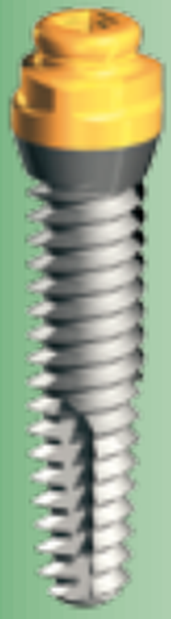 Ghimas Cylindrical Dental Implant | SpotImplant