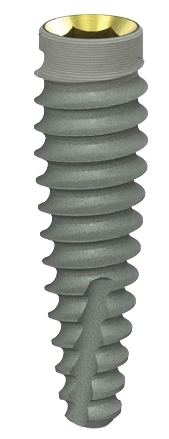 BioHorizons Bio-Lok Silhouette Screw (External) Impianto dentale ...