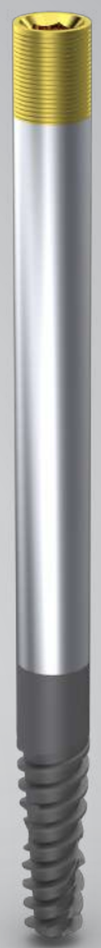 Leader Medica Monophasic Equator Dental Implant | SpotImplant