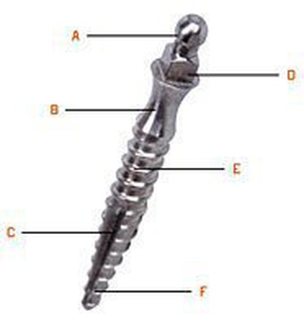 JMP Dental Dental Implants | SpotImplant