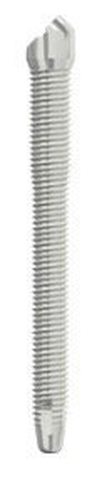 Neodent Alvim HE Smart Implante dental | SpotImplant