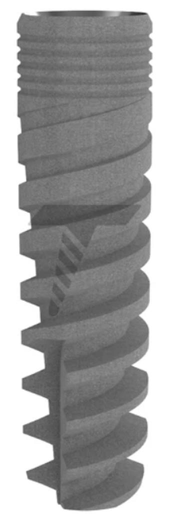 GDT Max Basal Dental Implant | SpotImplant