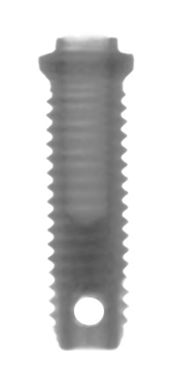 Branemark Branemark Mk I Fixture Original (No hole) Dental Implant ...