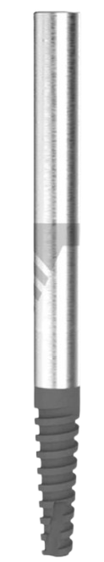 GDT Max Basal Dental Implant | SpotImplant