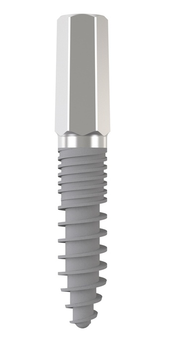 Nature implants One-piece angled implant Dental Implant | SpotImplant
