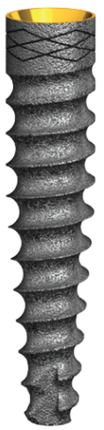 Dental Implants With Internal Connection | SpotImplant