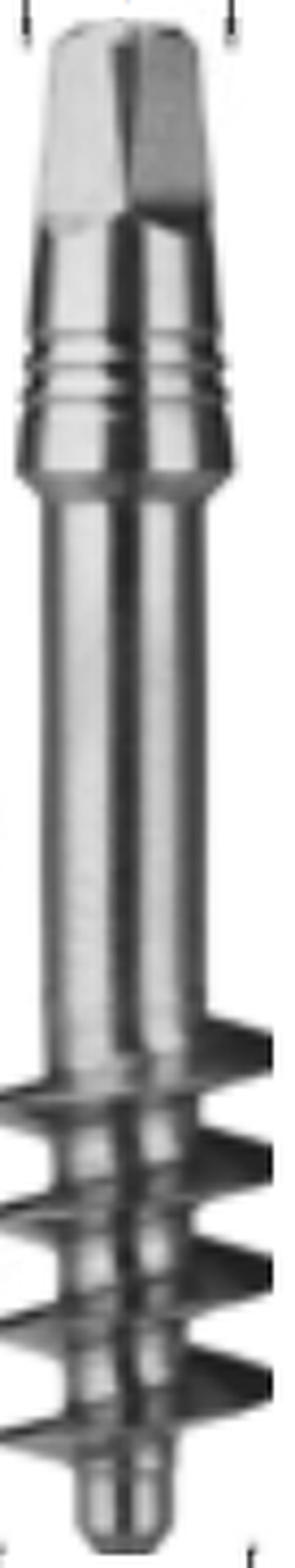 Ihde Dental BCS (Large Head) Implant dentaire | SpotImplant