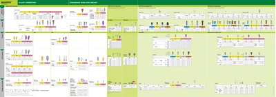 Straumann Standard Plus NN (ext octa) Dental Implant | SpotImplant