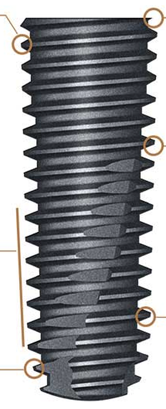 Biotem Dental Implants | SpotImplant