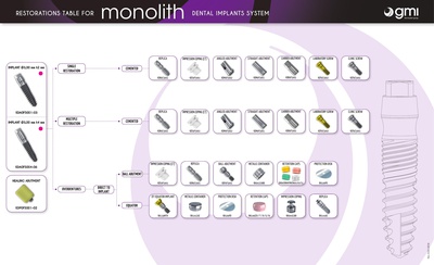 GMI (Global Medical Implants) Monolith Dental Implant | SpotImplant