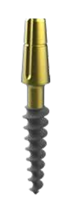 Top Implants Dental Implants | SpotImplant