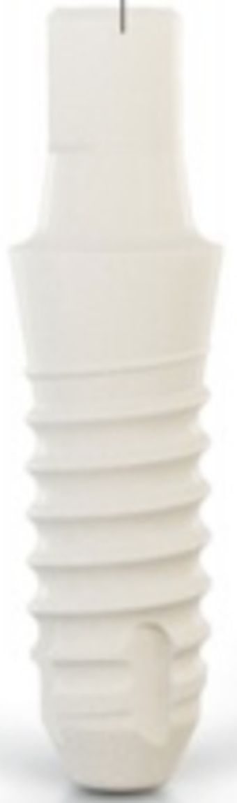 Camlog Screw-Line Promote Plus Dental Implant | SpotImplant