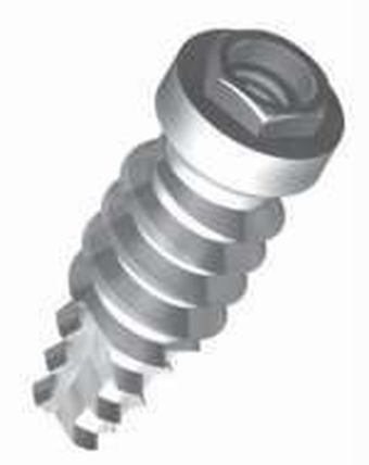 Q Implant ImplantBone Dental Implant | SpotImplant