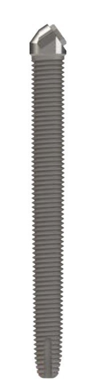 Southern Implants Inverta External Hex Co-Axis 12° Dental Implant ...