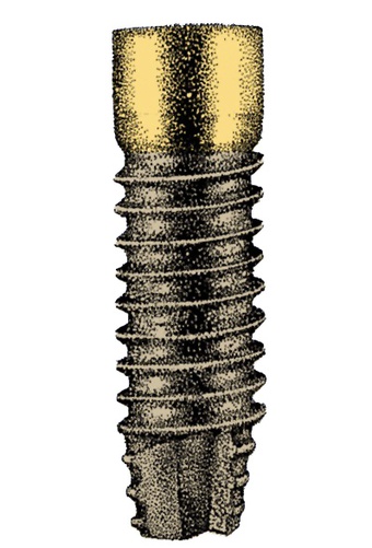 MIS BioCom Internal hex (M4) Dental Implant | SpotImplant