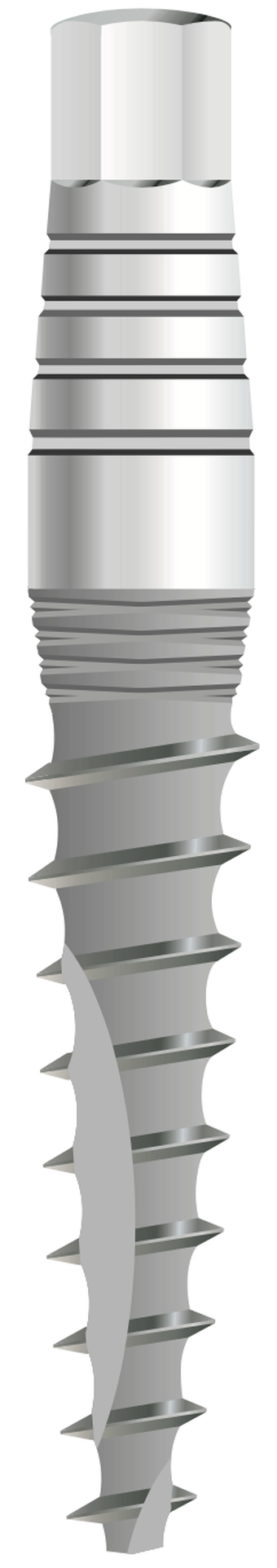 Implay System Dental Implants | SpotImplant