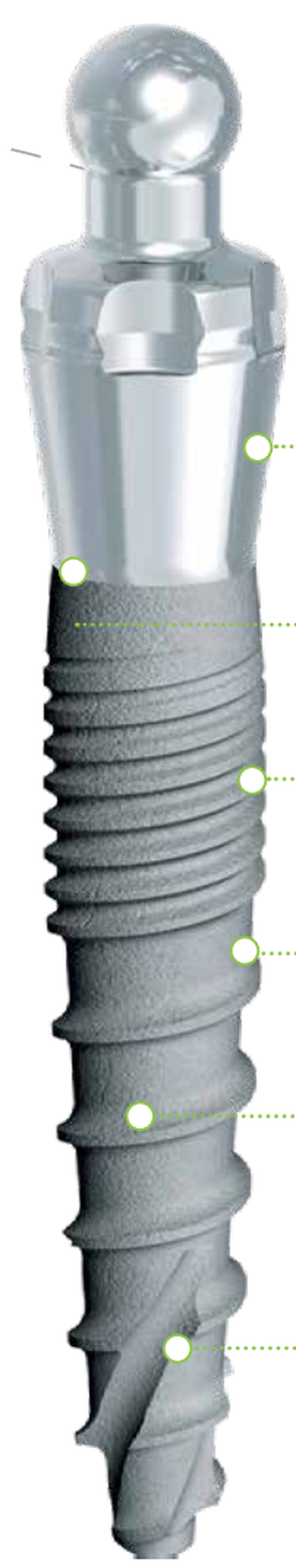 Dentaurum Group TioLogic TwinFit Implant dentaire | SpotImplant