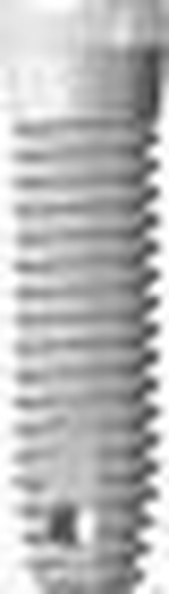 Dental Implants With a Round Hole | SpotImplant