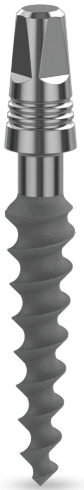 Noris Medical Cortical Dental Implant | SpotImplant