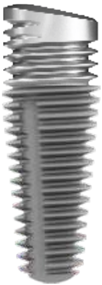 Southern Implants Inverta External Hex Co-Axis 12° Dental Implant ...