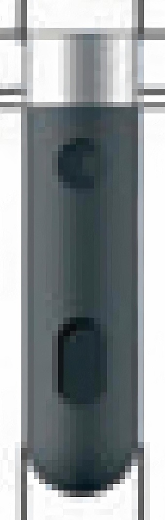 Camlog Screw-Line Promote Plus Dental Implant | SpotImplant