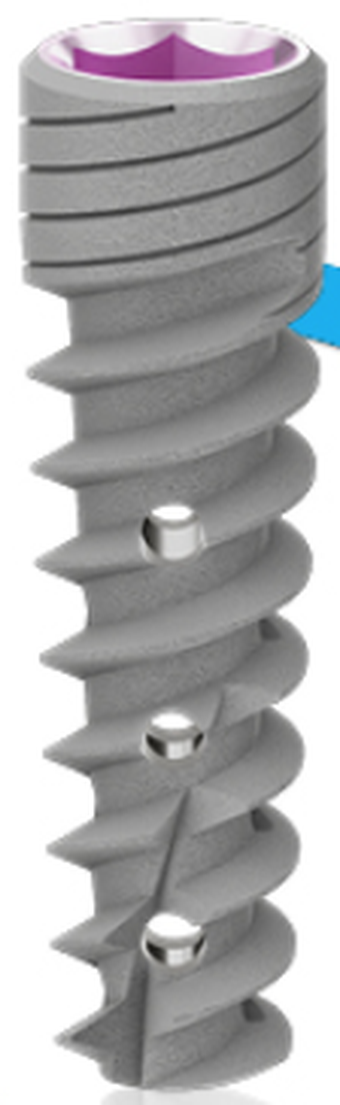 Dental Implants With a Round Hole | SpotImplant