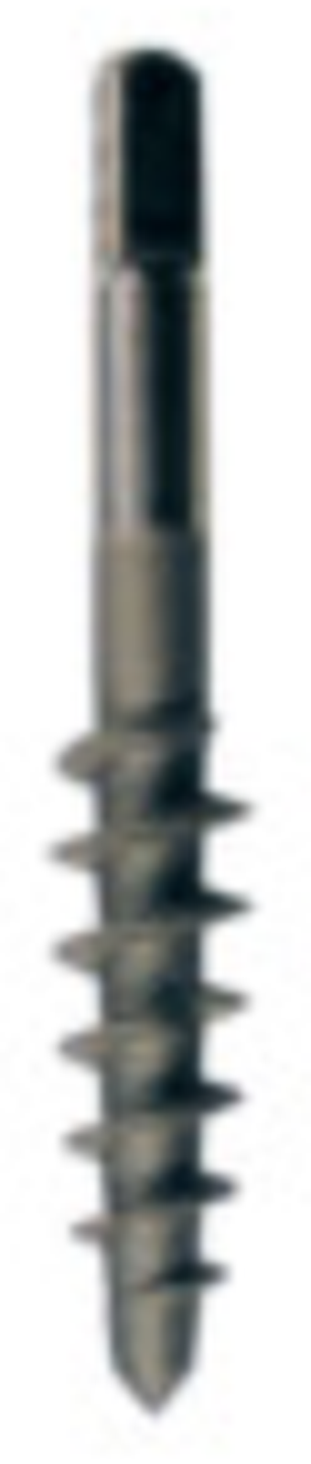 Dental Implants With a Conical Apex | SpotImplant