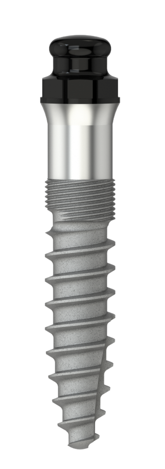 Medentika Microcone (Straight) Dental Implant | SpotImplant