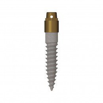 Sterngold Dental Implants | SpotImplant