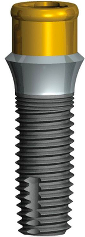 Dental Implants With a Flat Apex | SpotImplant