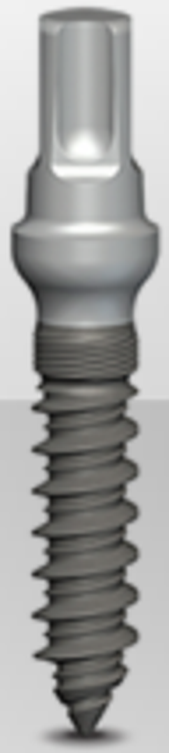 Intra-Lock System International Internal Connection Tapered Body Dental ...