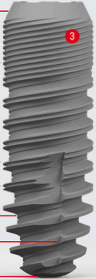 C-Tech Implant Monoblock Dental Implant | SpotImplant