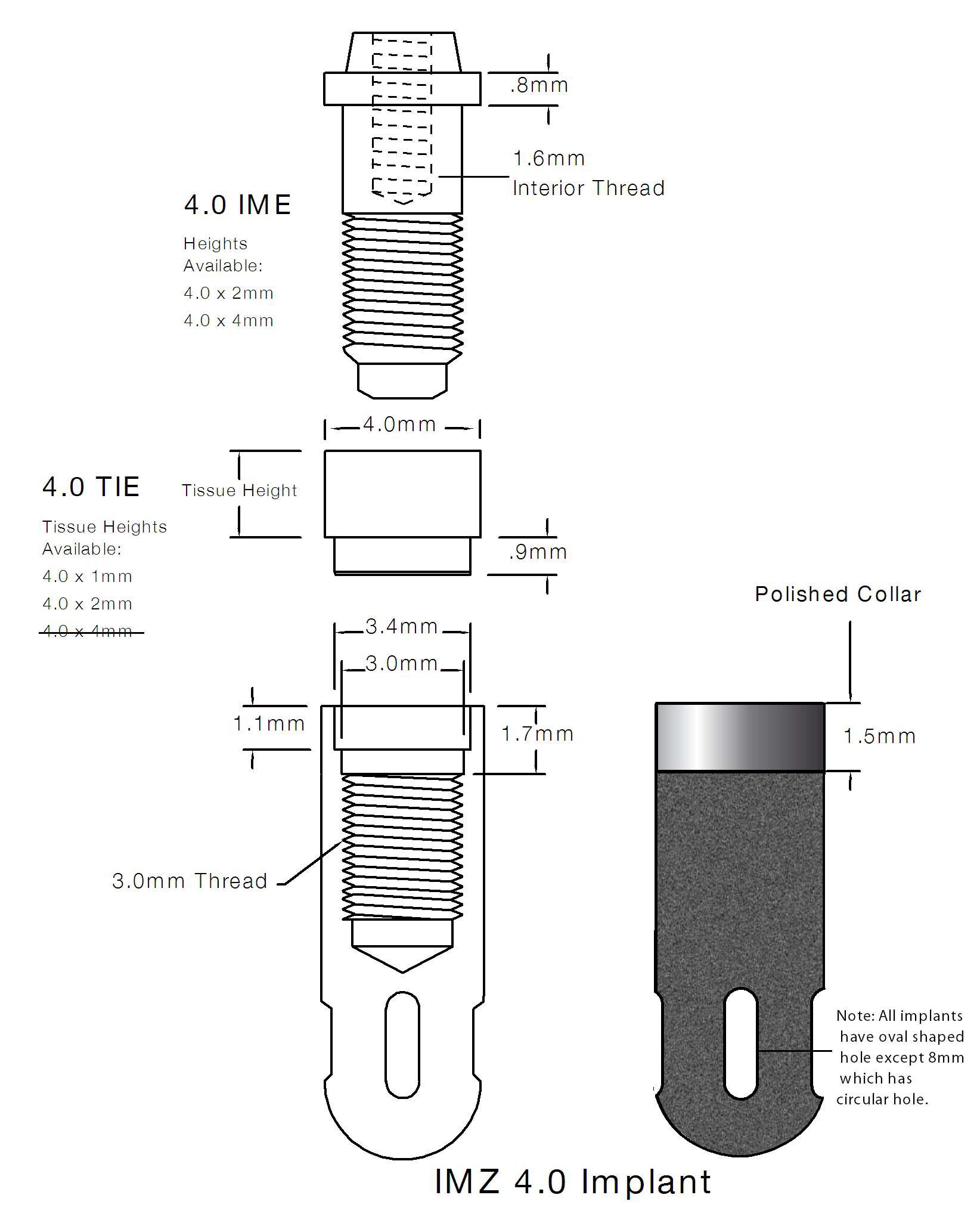 IMZ IMZ Original Zahnimplantat | SpotImplant
