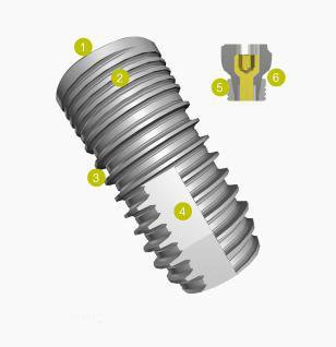 Biodenta Bone Level-BL Implant dentaire | SpotImplant