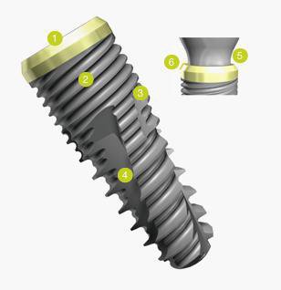 Biodenta Bone Level Tapered-BLT Dental Implant | SpotImplant