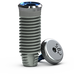 BioHorizons Single Stage Dental Implant | SpotImplant