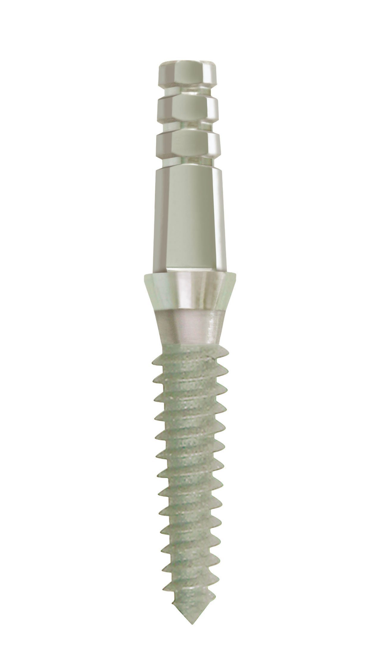 BTLock Mini Single Dental Implant | SpotImplant