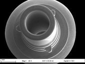 Camlog Screw-Line Implante dental | SpotImplant