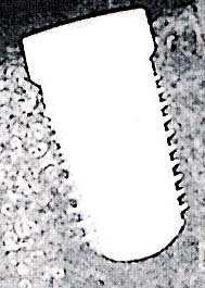 Camlog Screw-Line Implante dental | SpotImplant